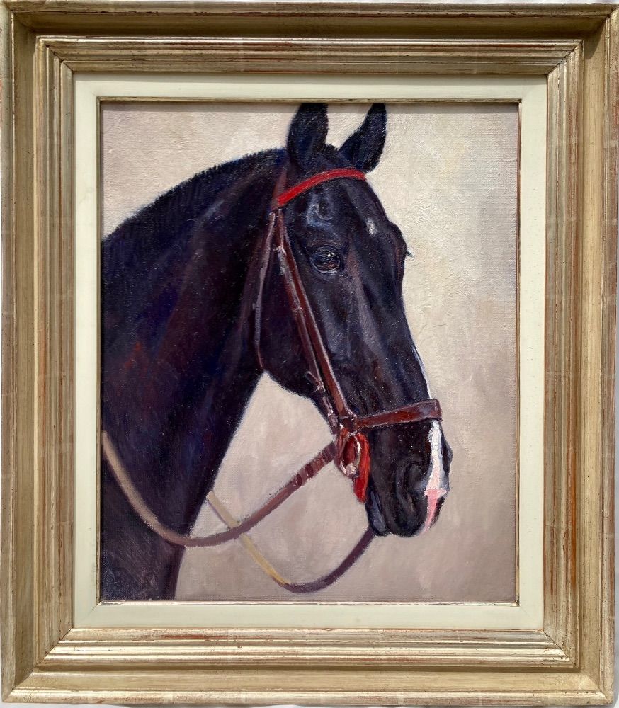 Dipinto animalier “ Cavallo Hannover morello - Black Horse “ Helmut ...