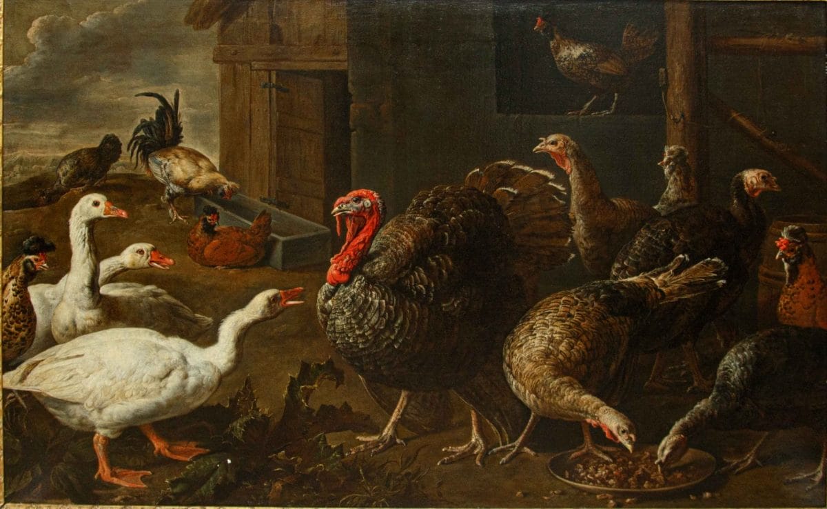 The Flemish Masters, the Golden Age and its legacy • NowArc